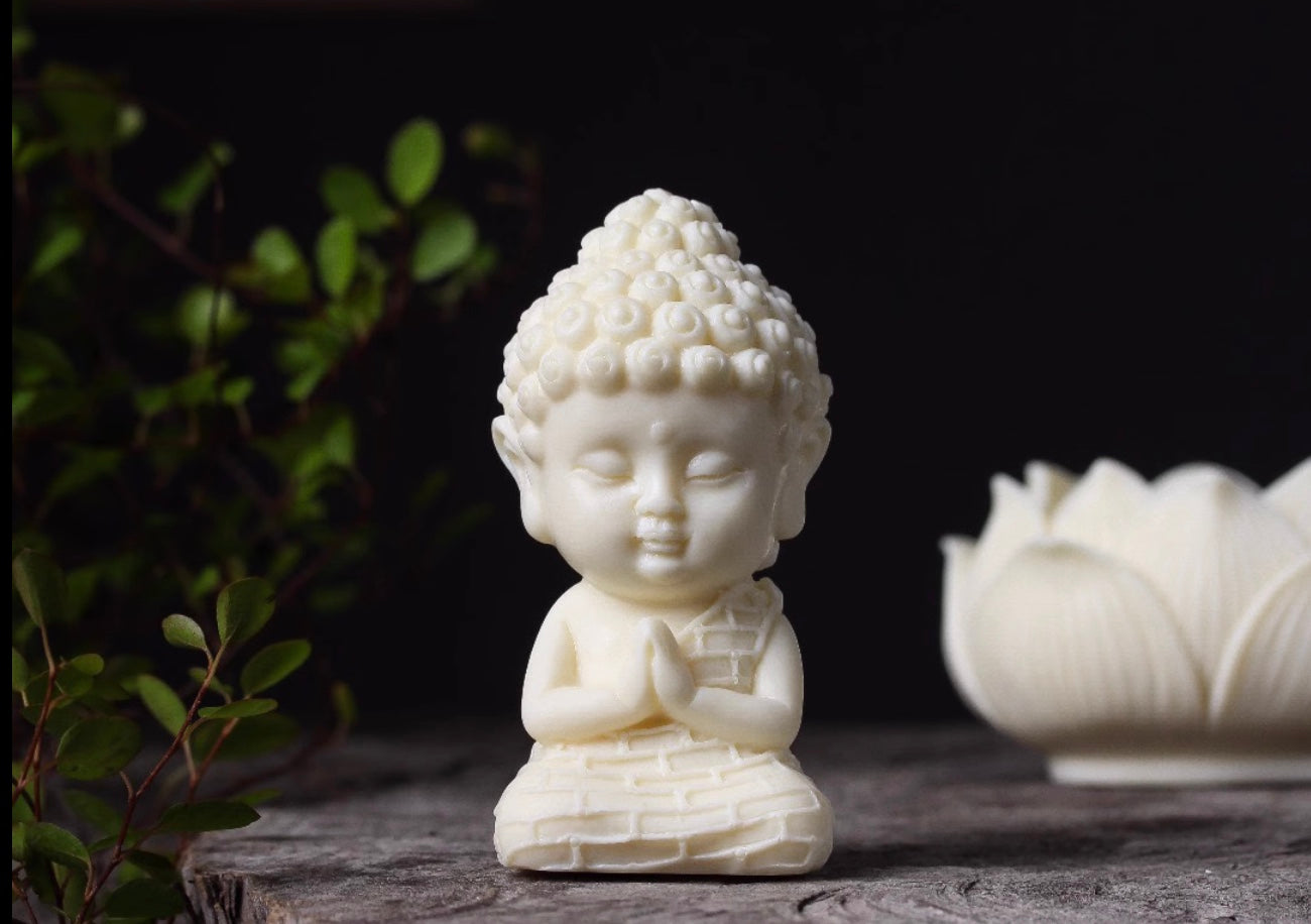 Vegetable Ivory: The Humane Alternative to Elephant Ivory – The Zen ...